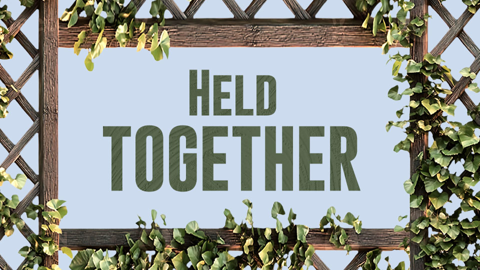 We Grow Stronger Together